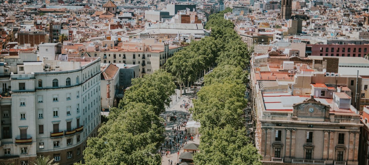 The cooling, cleansing power of canopies – urban tree planting takes ...