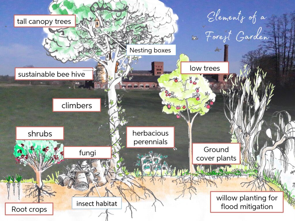 Picture the Future: Imagining Wellington’s Green Corridor - resilience